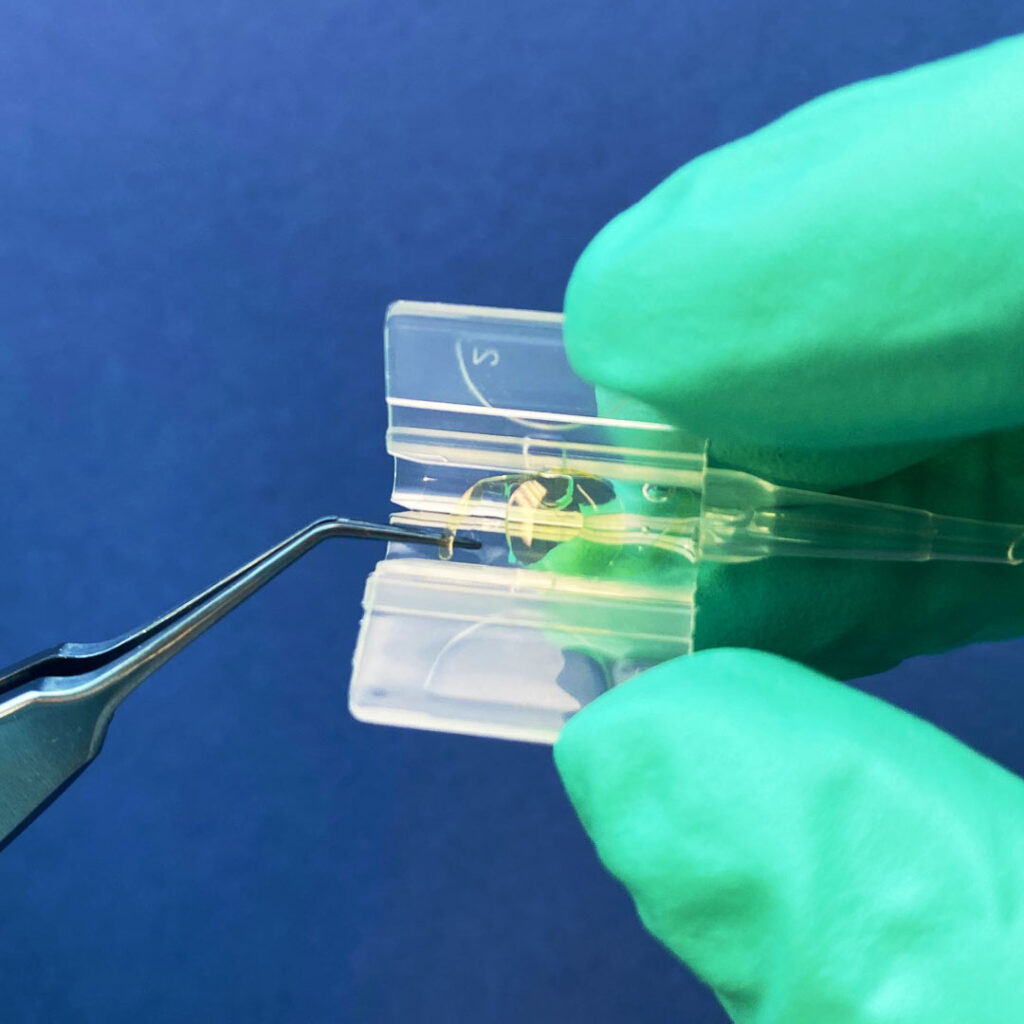 Injectors & Cartridges for Lens or Iol Cartridges Manufacturer