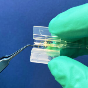 Injectors & Cartridges for Lens or Iol Cartridges Manufacturer